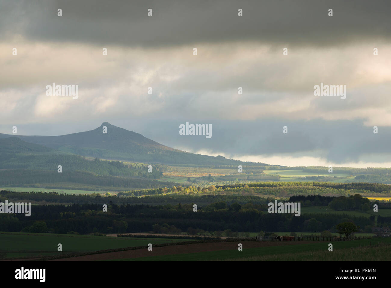 Bennachie scotland hi-res stock photography and images - Alamy