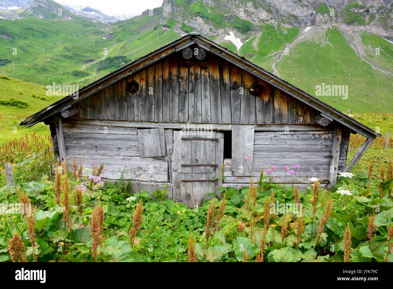 Barn photographed in Engleberg Switzerland in the Swiss Alps in an ...