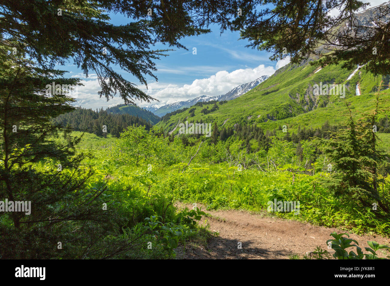 Lost lake trail alaska hi-res stock photography and images - Alamy