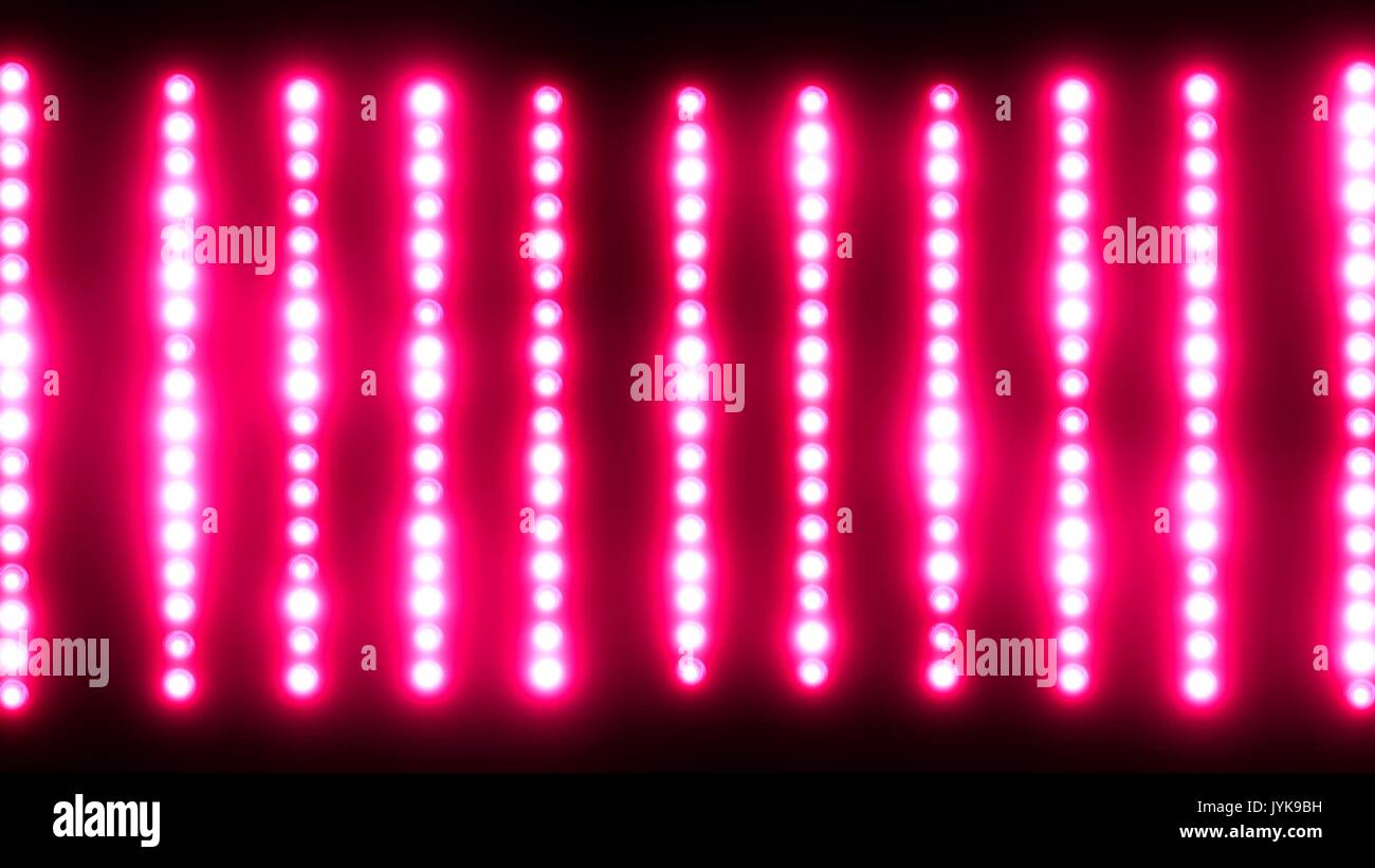 Bright flood lights background. Magenta tint. Seamless loop. More color ...