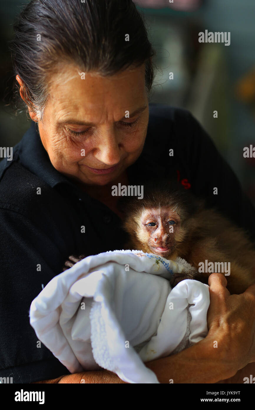 Nearly 5000 years old hi-res stock photography and images - Alamy