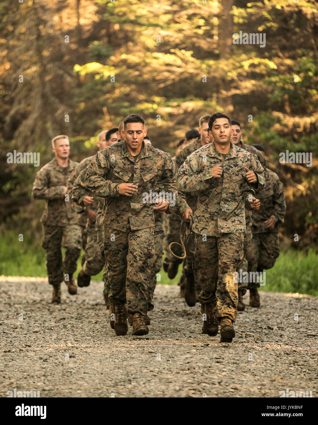 2nd battalion 23rd marines hi-res stock photography and images - Alamy