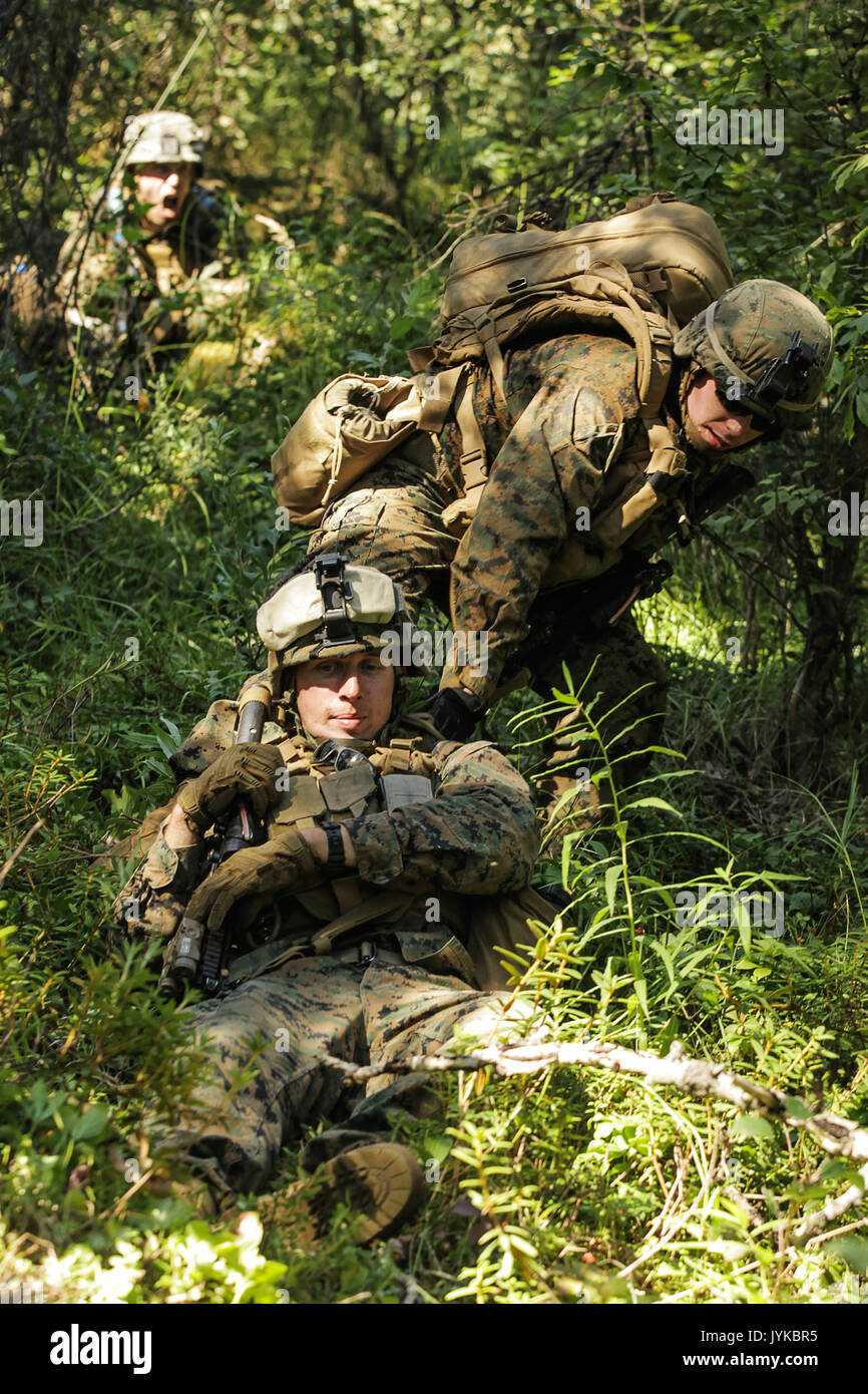 U.S. Navy Corpsman, Petty Officer 2nd Class Christopher Covino with ...