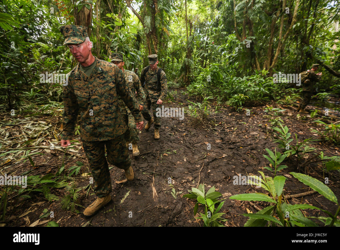 Codenamed operation watchtower High Resolution Stock Photography and ...