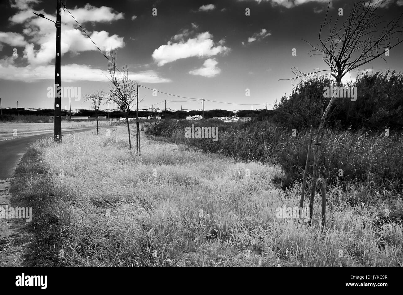 A beautiful landscape with some vegetation Stock Photo - Alamy
