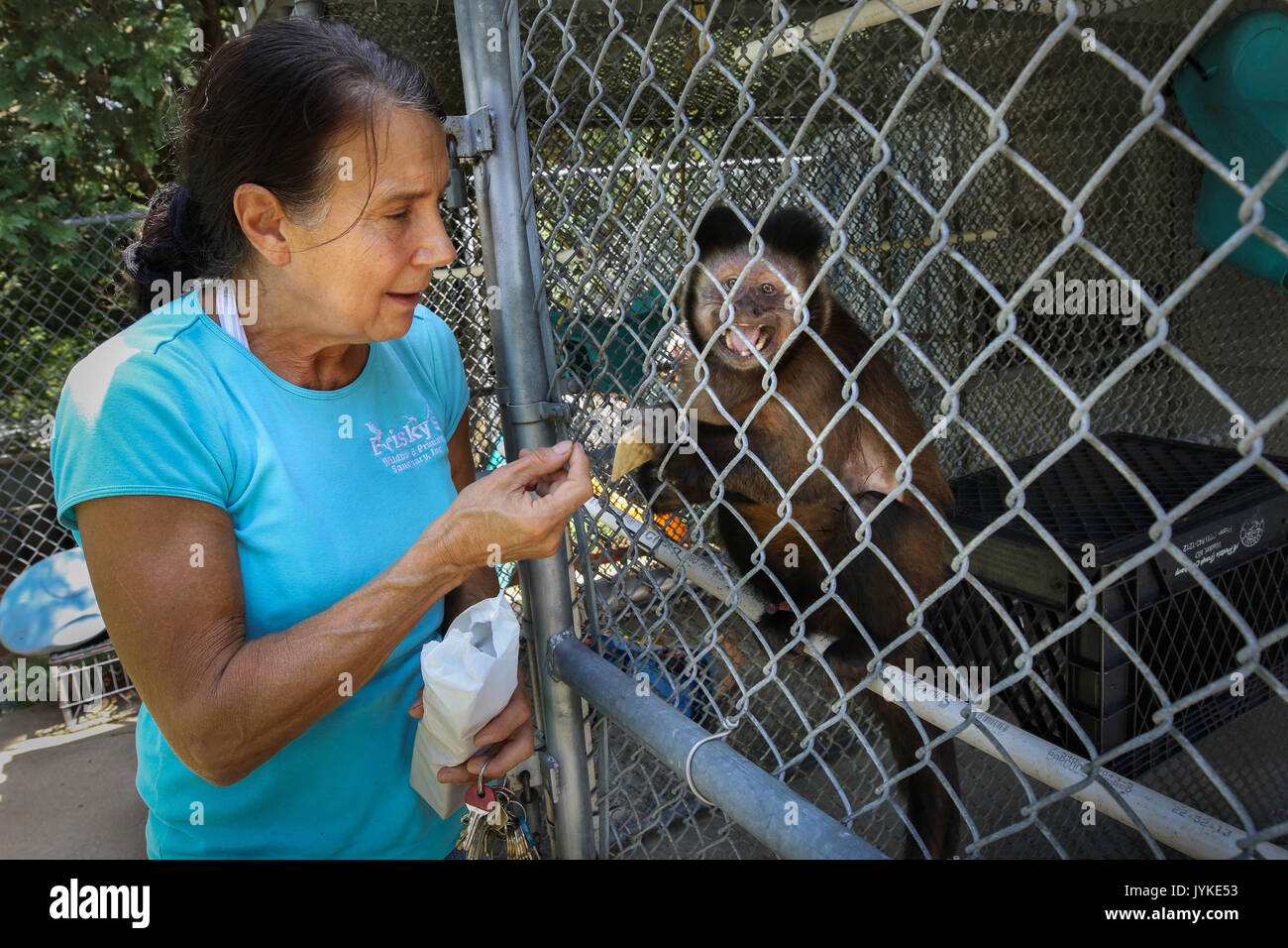 50 years rehabilitation hi-res stock photography and images - Alamy
