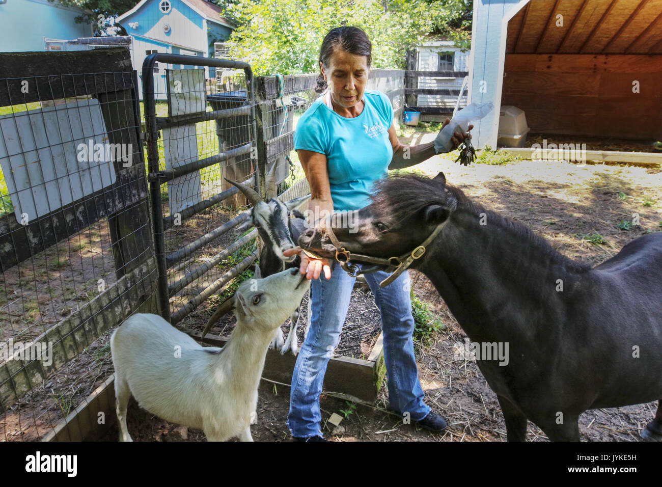Class a wildlife reserve hi-res stock photography and images - Alamy