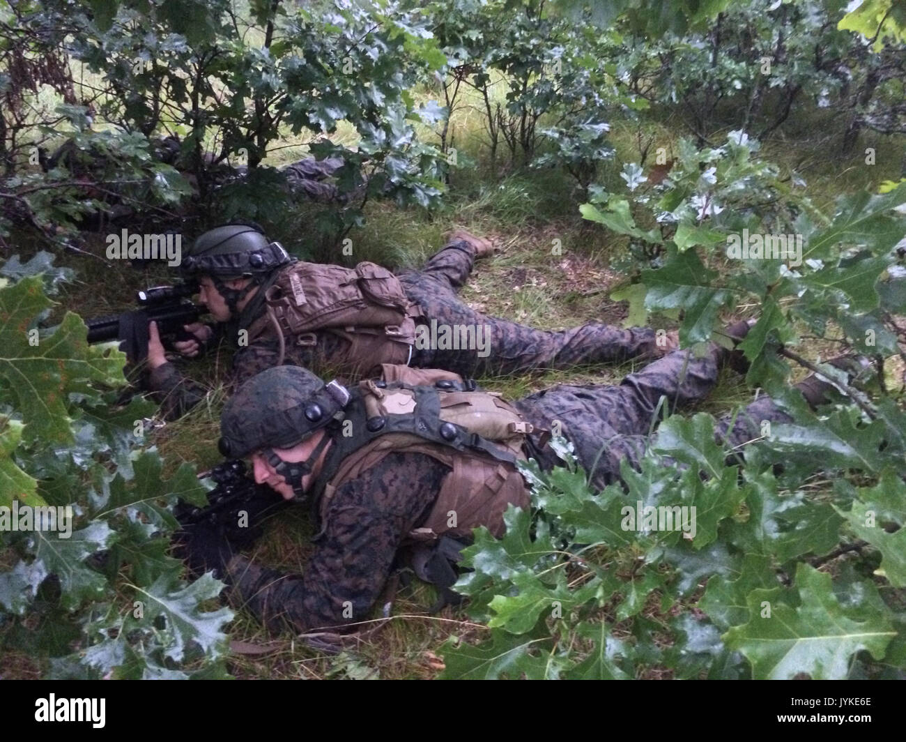 Marines from the 4th MEB and soldiers from the 654th RSG set in ambush ...