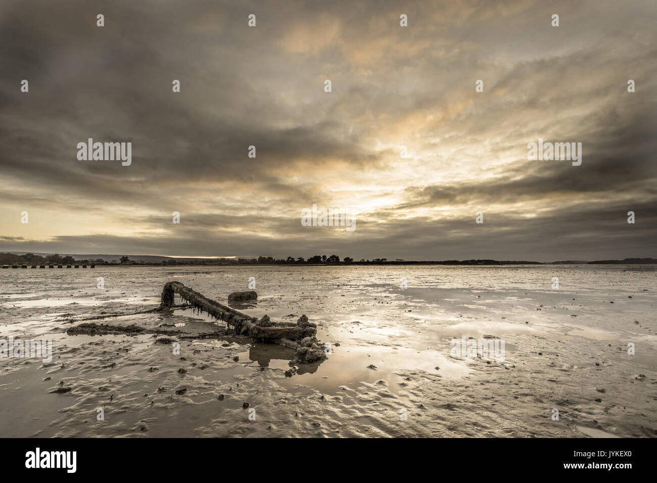 anchor beach in harbour at dusk Stock Photo - Alamy
