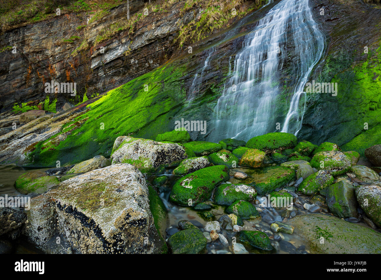 Blumenthal Falls (Oswald West State Park) along the Oregon coast. USA ...
