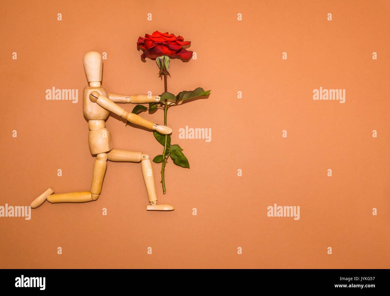 Man holding single red rose hi-res stock photography and images - Alamy