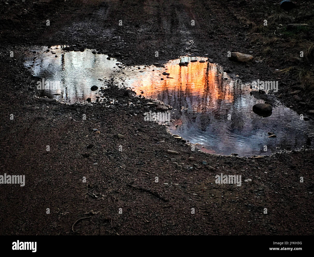 2017 365 45 A Sunset Fell into a Puddle and Flowed Away Downstream ...