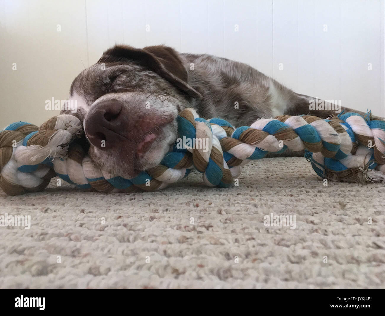 Out line art hi-res stock photography and images - Alamy