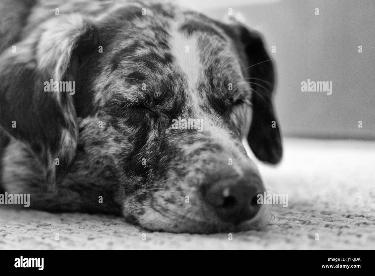 Worn out map hi-res stock photography and images - Alamy