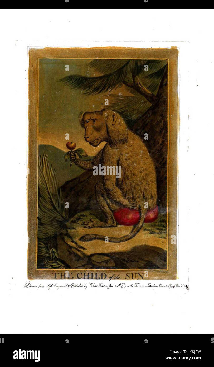 Cattons hi-res stock photography and images - Alamy