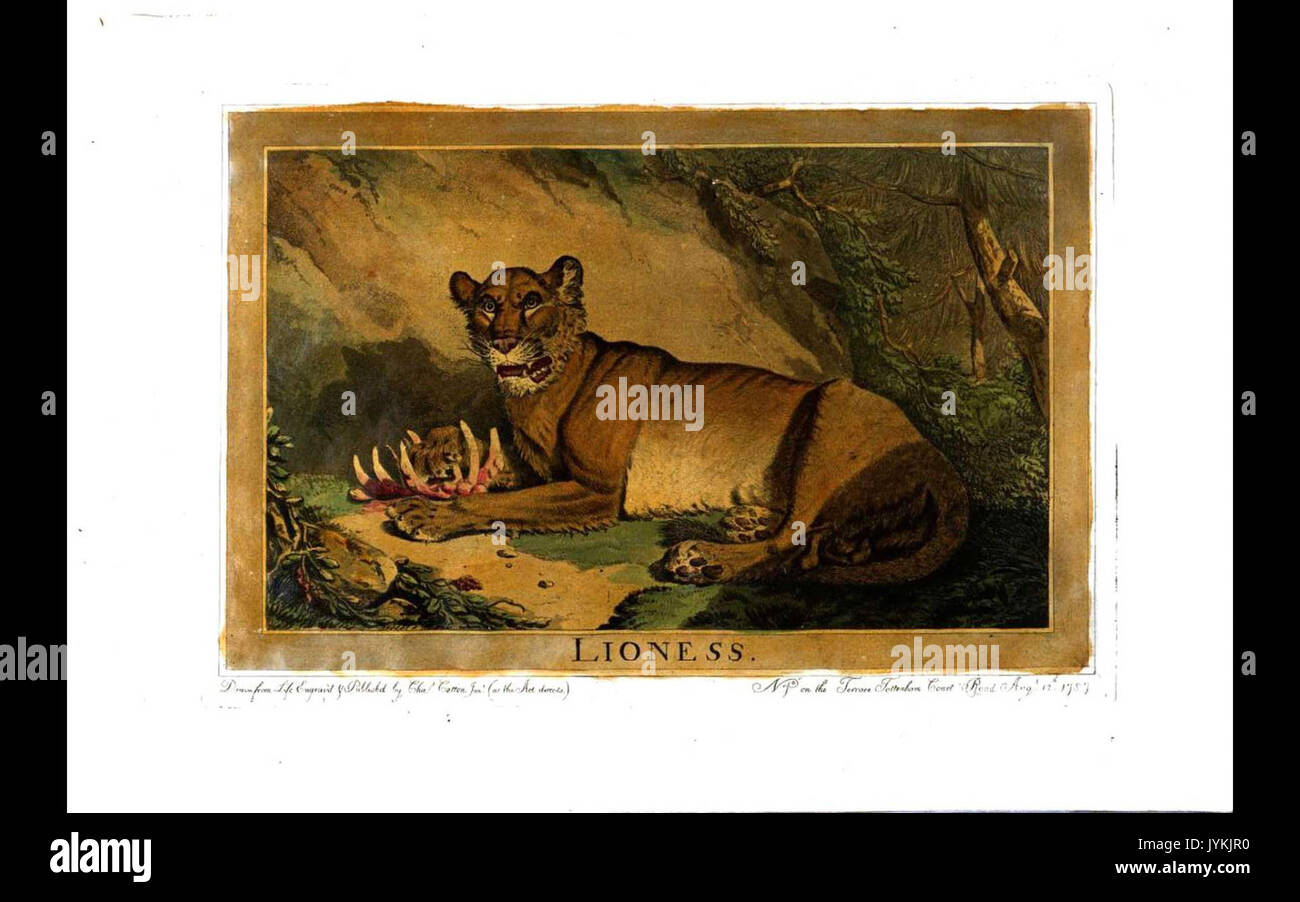 Cattons hi-res stock photography and images - Alamy