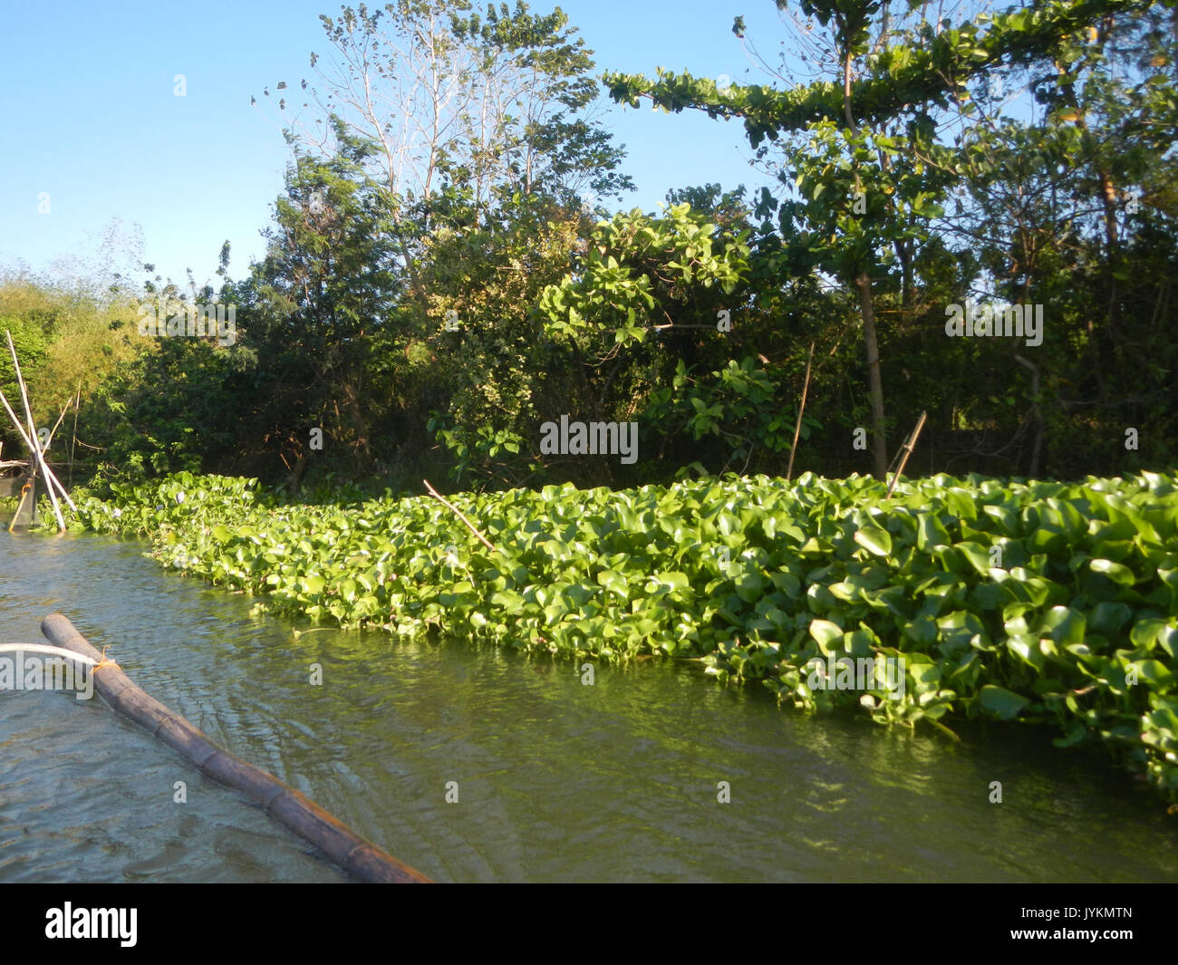 94846 Calumpit Bulacan River Districts Pungo Palimbang Sergio Bayan ...