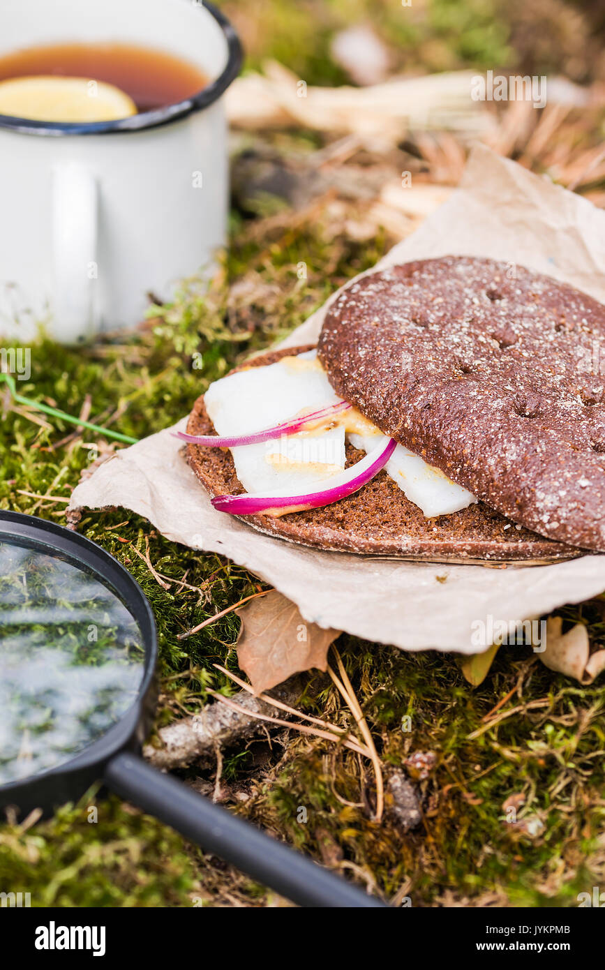 Simple sandwich with traditional Ukrainian food salo (bacon, pork) and ...