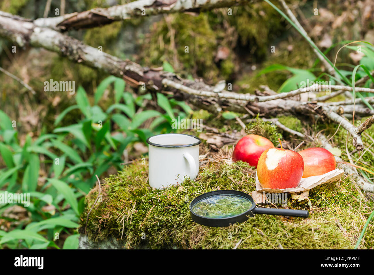 Healthy snack in the woods hi-res stock photography and images - Alamy