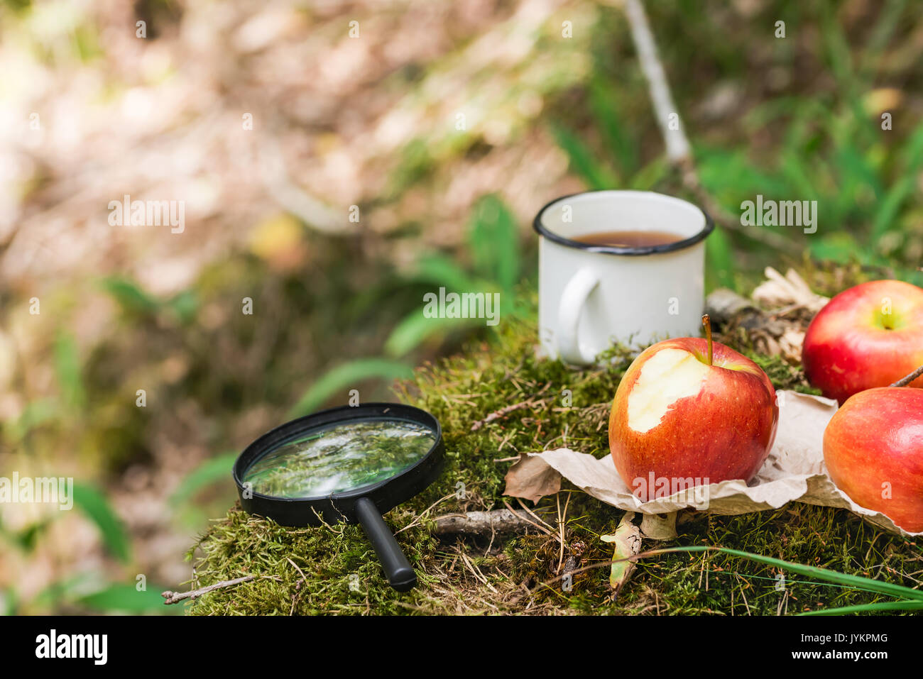 Healthy snack in the woods hi-res stock photography and images - Alamy