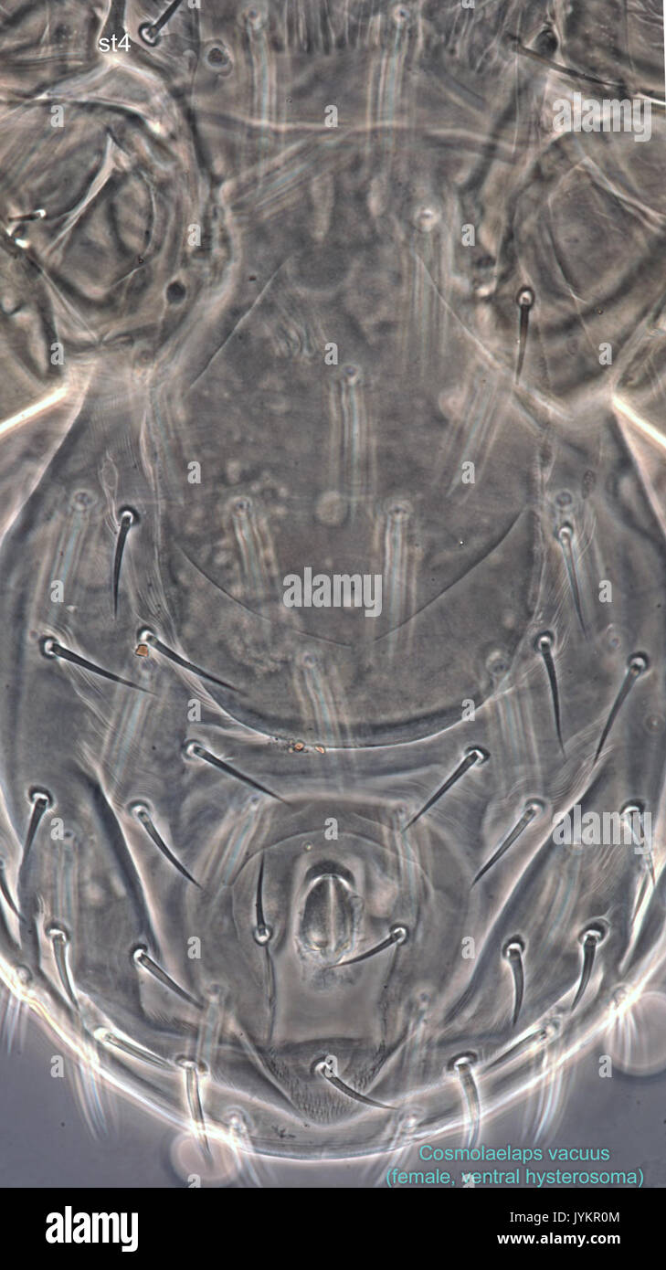 Vacuus hi-res stock photography and images - Alamy