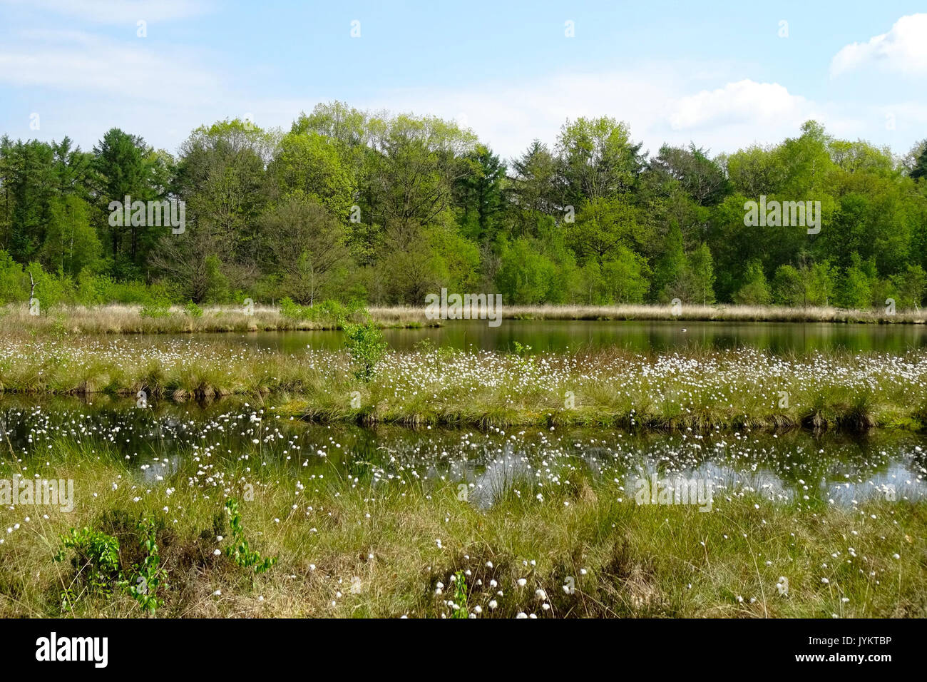 Map of ven hi-res stock photography and images - Alamy