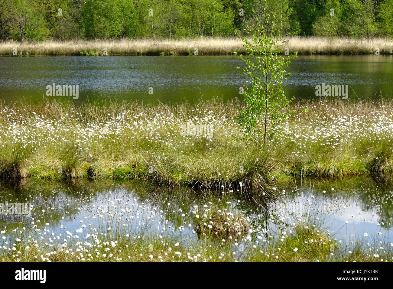 Map of ven hi-res stock photography and images - Alamy
