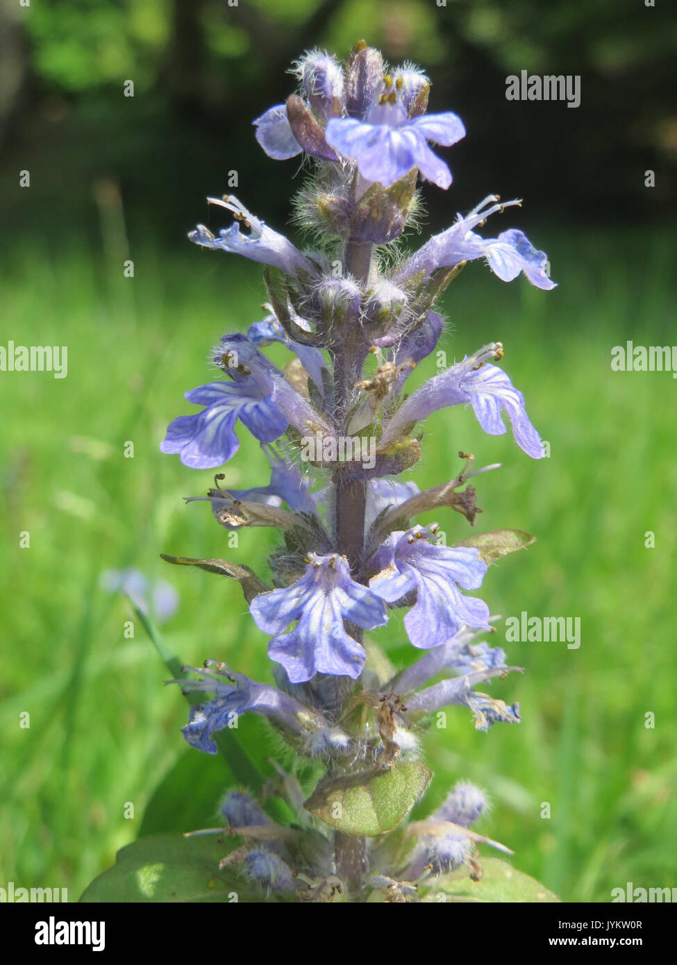 Ground hugging design hi-res stock photography and images - Alamy