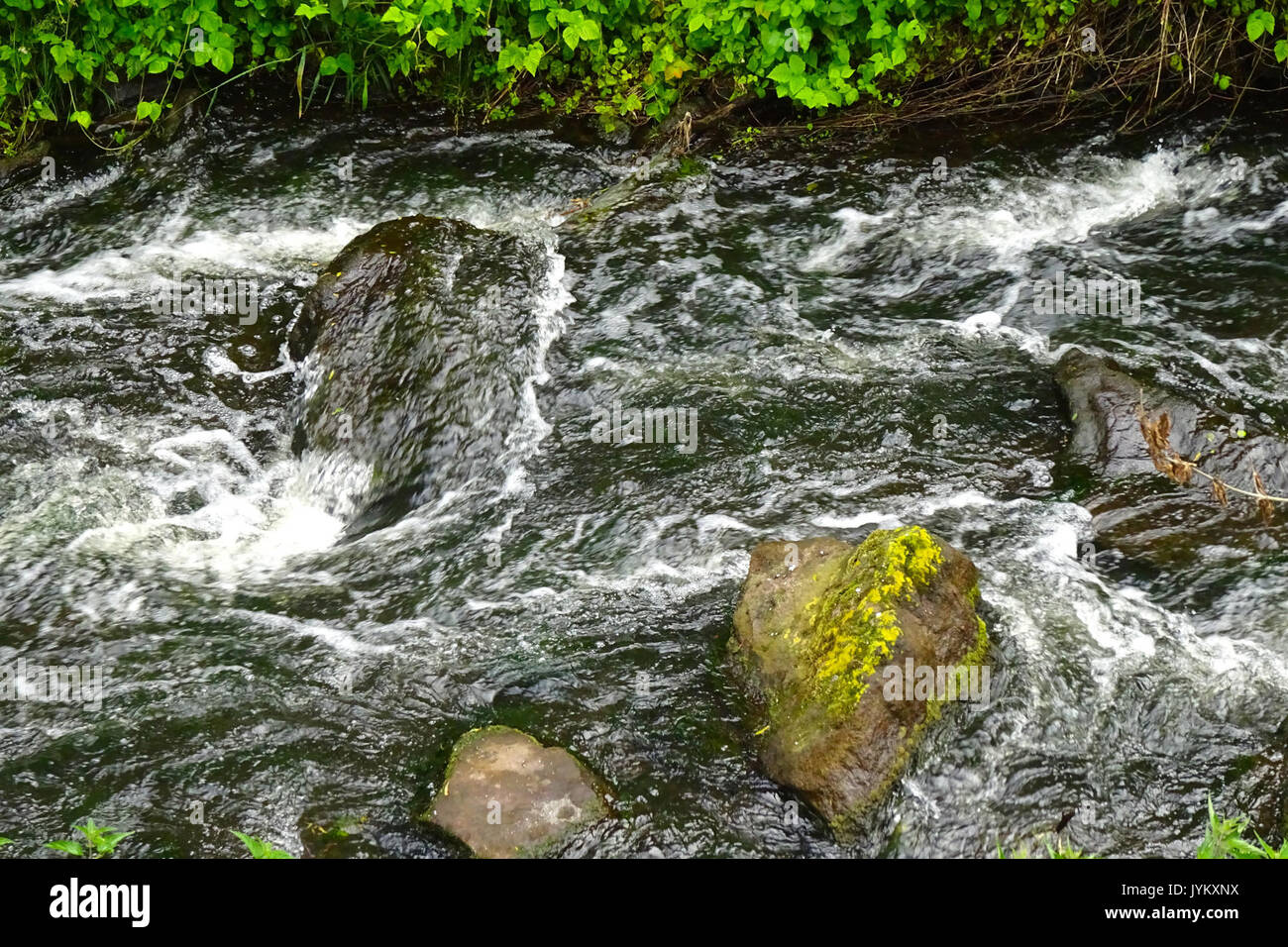 20170610 stroomversnelling Borkener paradies Stock Photo - Alamy