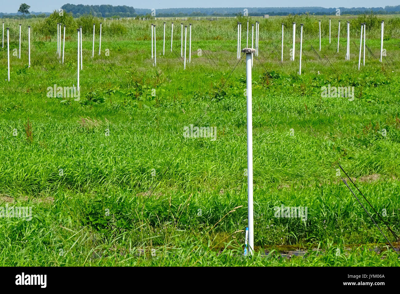 Lofar hi-res stock photography and images - Alamy