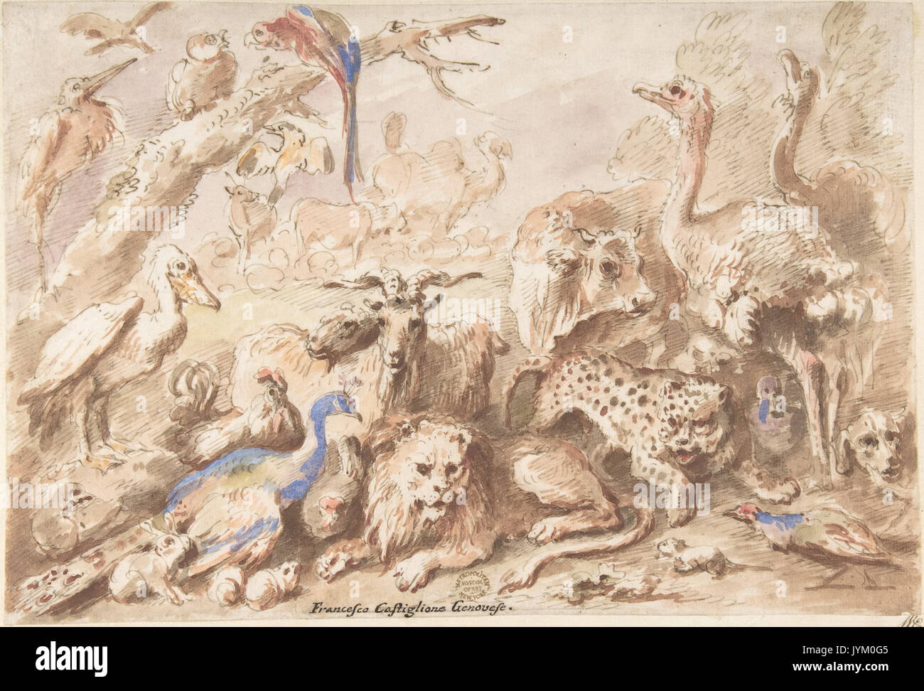 A Congress of Animals MET DP809038 Stock Photo - Alamy