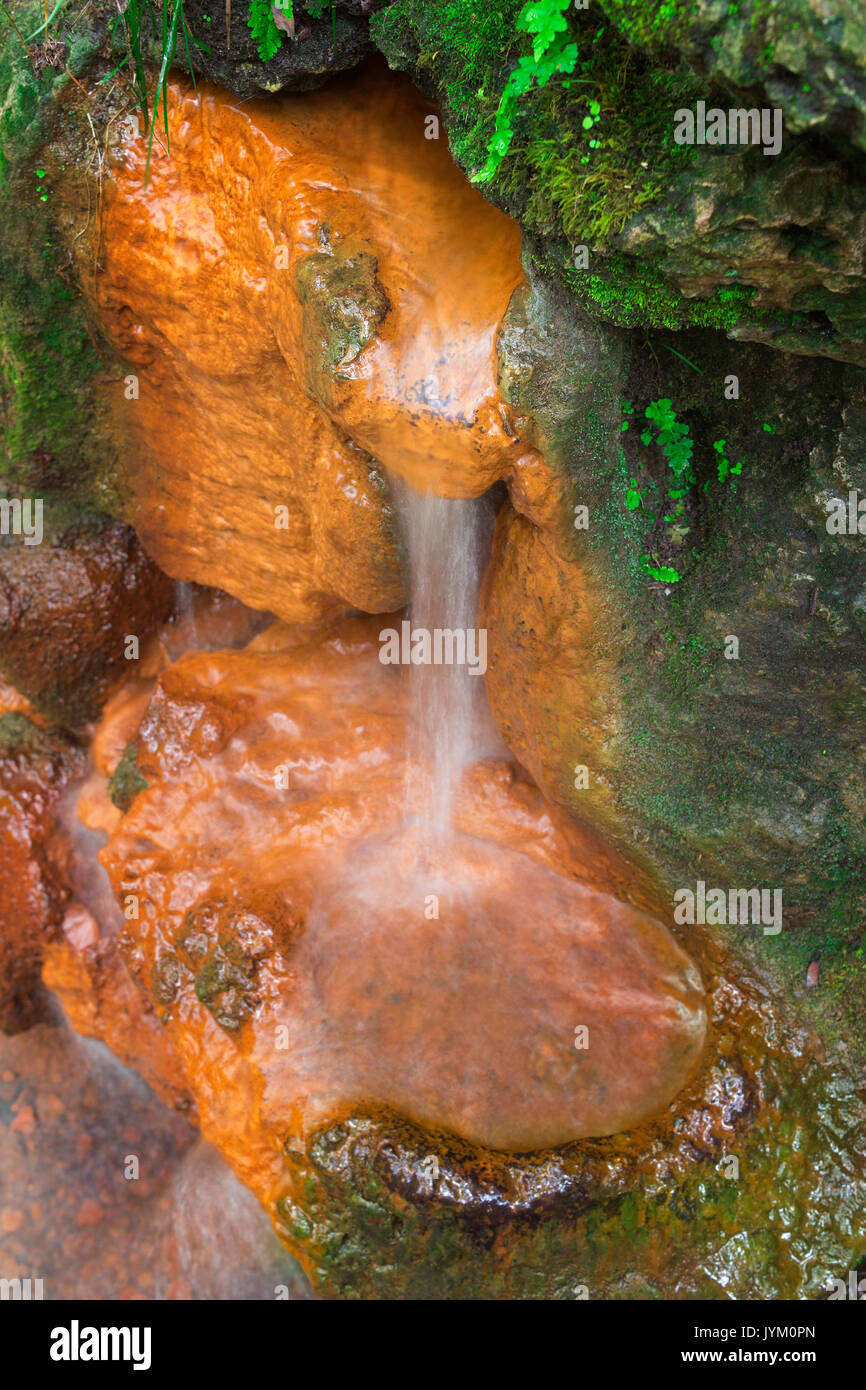 Natural Spring located in Yellow Springs Ohio Stock Photo - Alamy