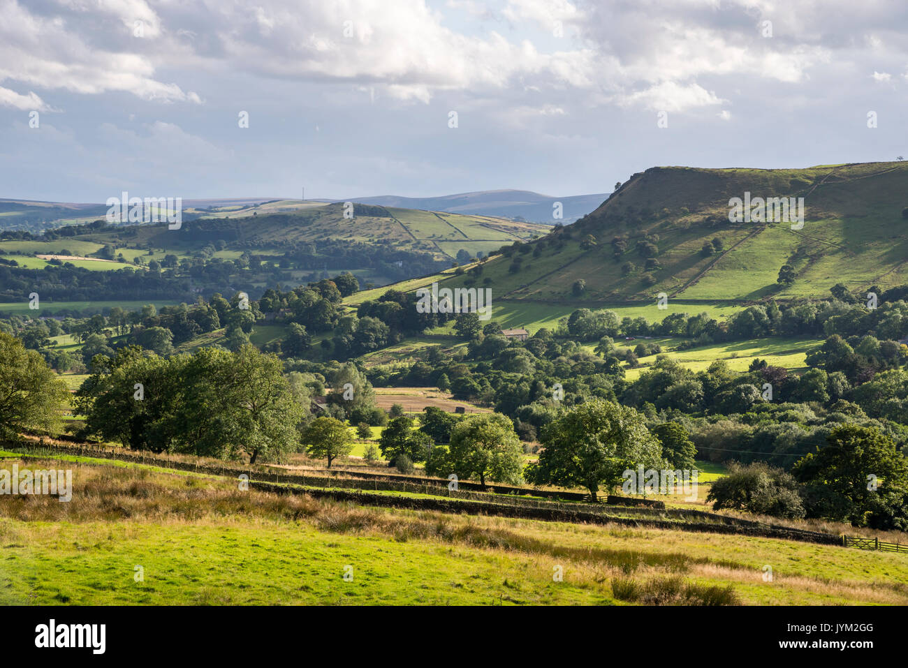 Green summer scenery hi-res stock photography and images - Alamy