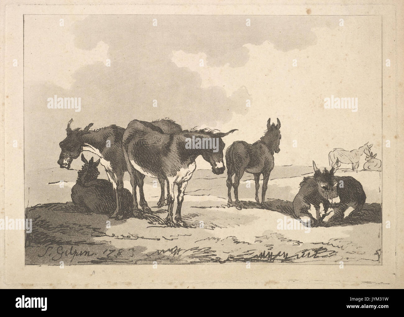 A Group of Five Donkeys, Three Standing, Two Lying MET DP823325 Stock ...