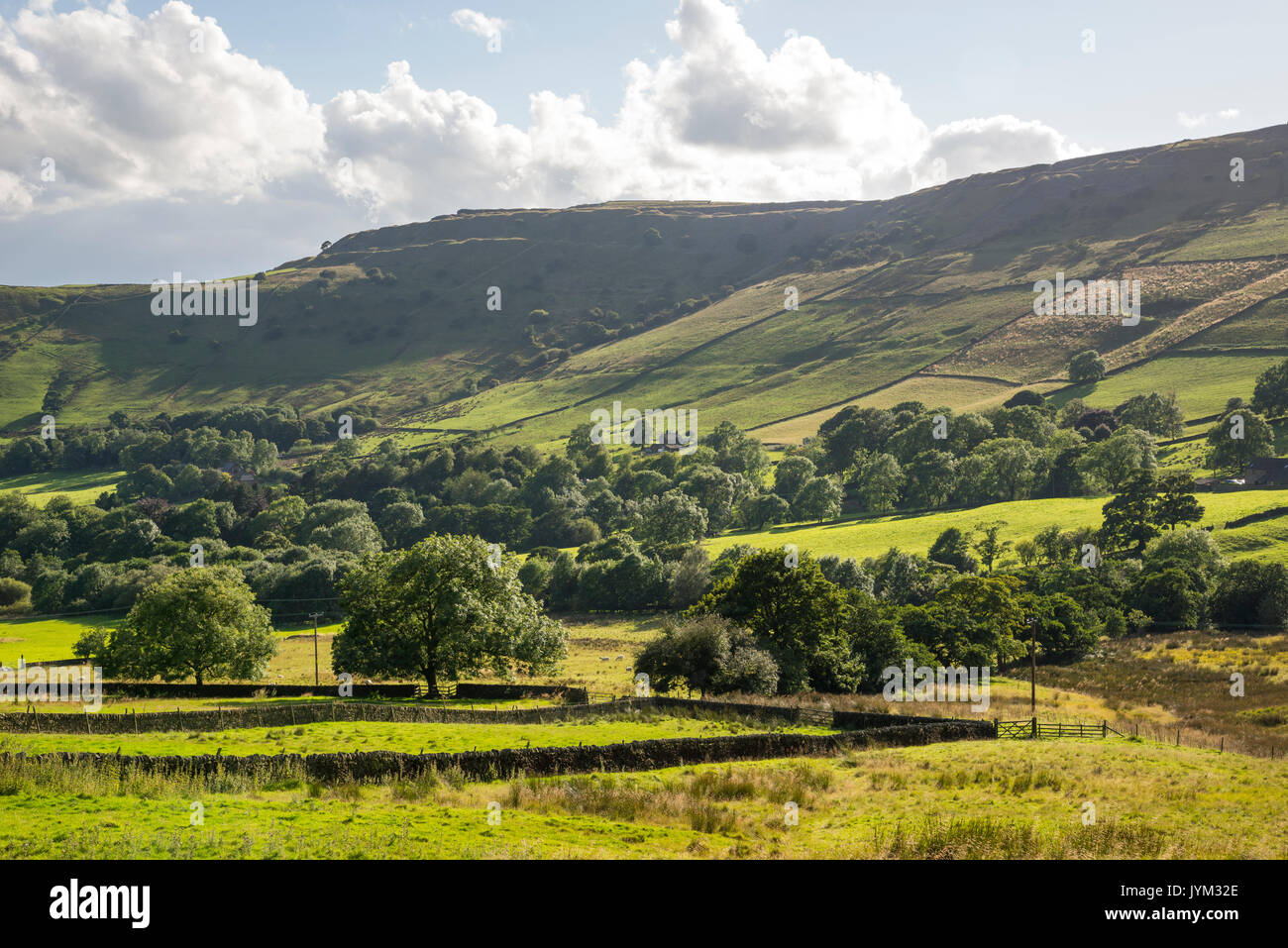 Beautiful green summer countryside in the hills of the High Peak in ...