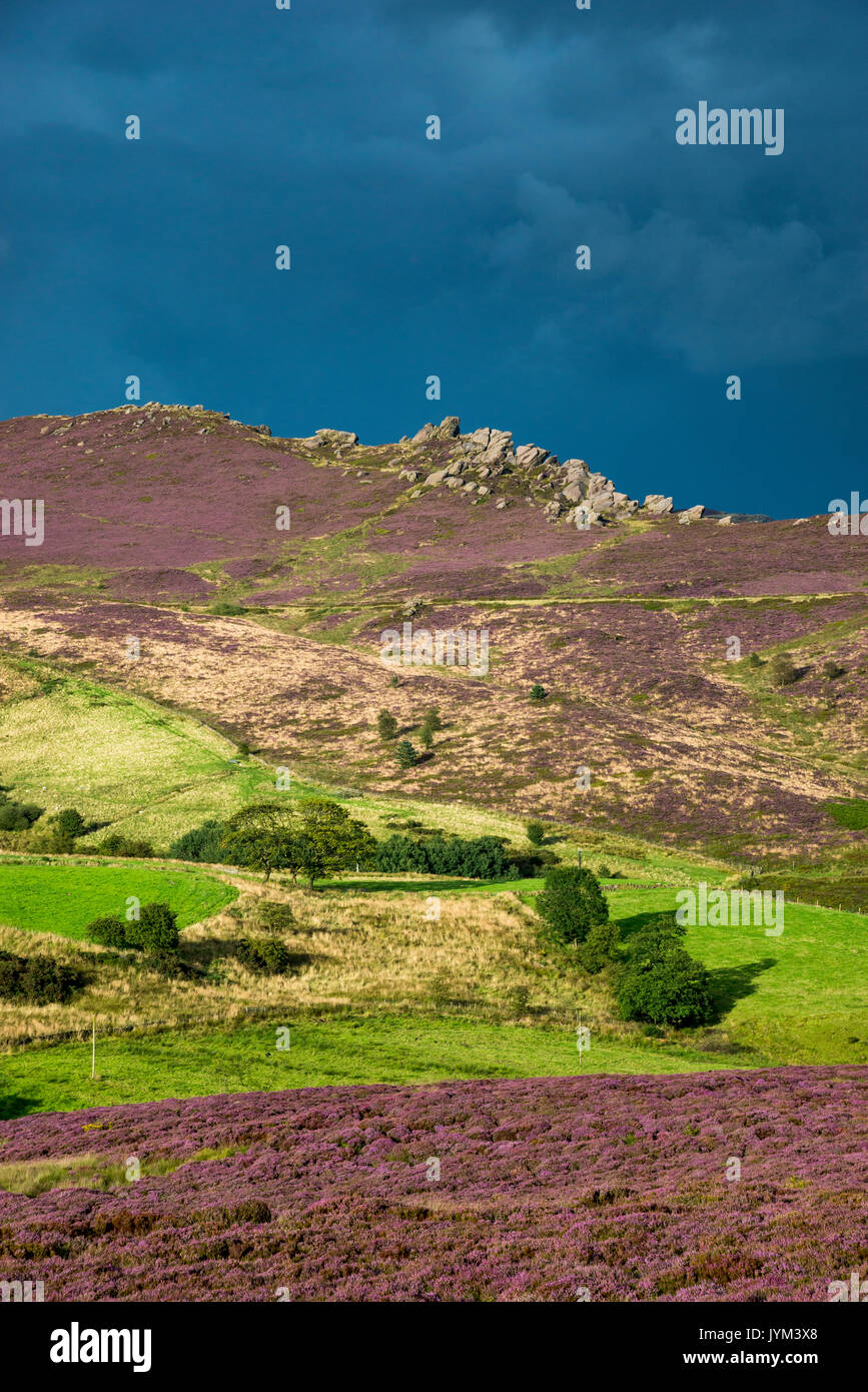 Dramatic view of Ramshaw rocks in sunlight with dark, moody sky in the ...