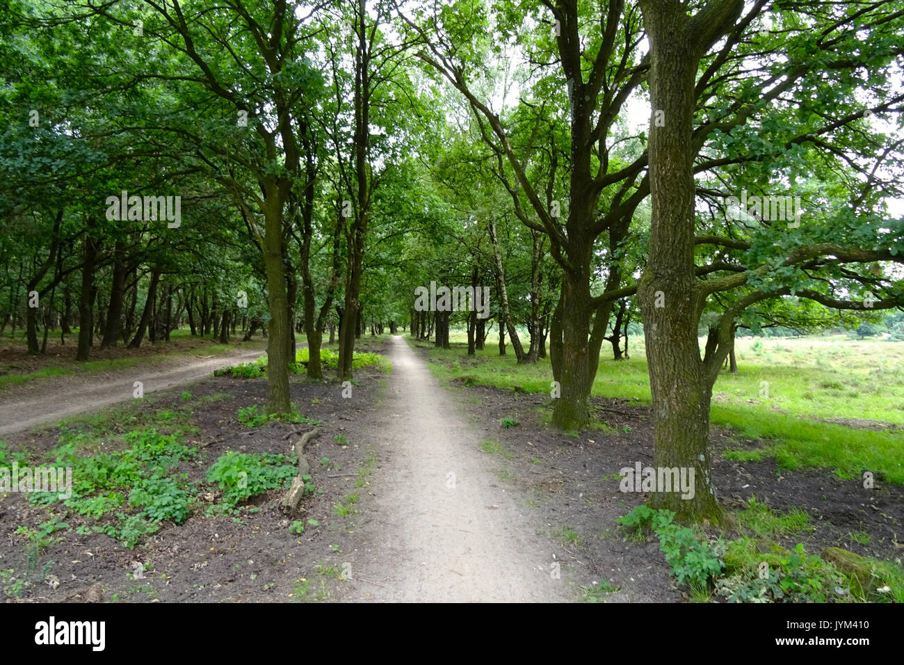Map of planken hi-res stock photography and images - Alamy