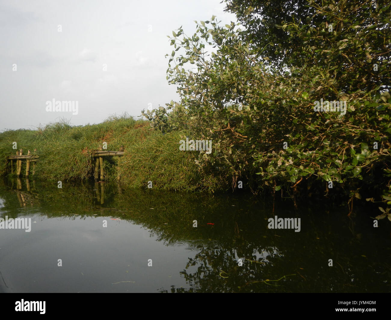 8092 Pamarawan Namayan Masile River Malolos City Districtfvf 11 Stock ...