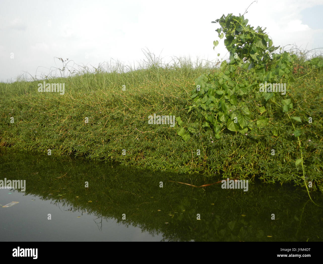 8092 Pamarawan Namayan Masile River Malolos City Districtfvf 15 Stock ...