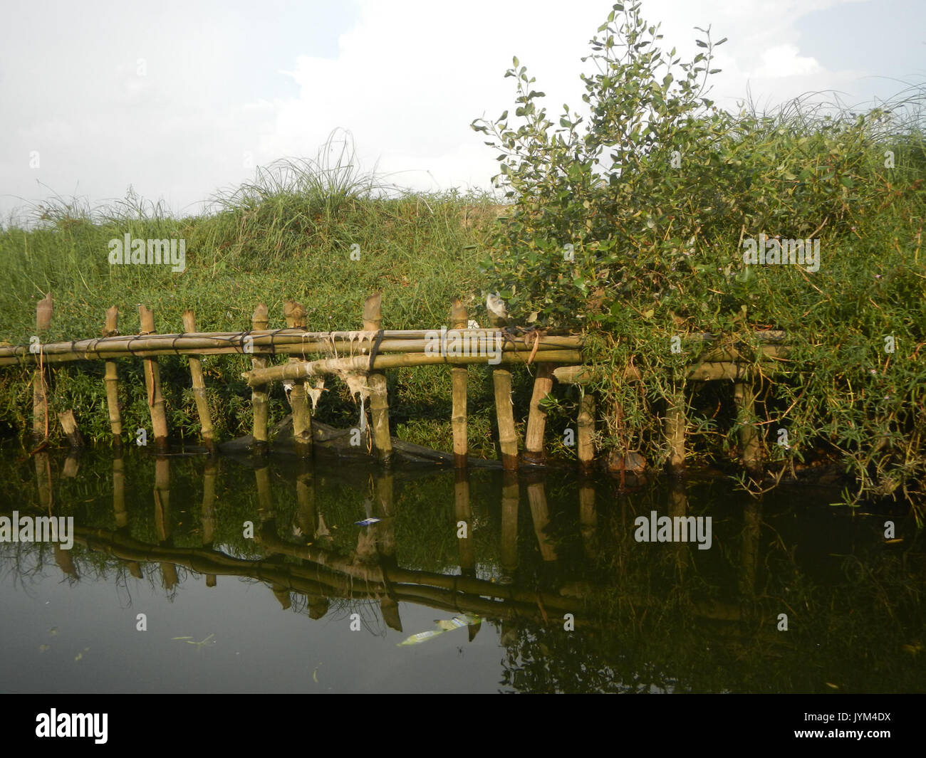 This photograph captures a view of the Pamarawan area in the Malolos ...