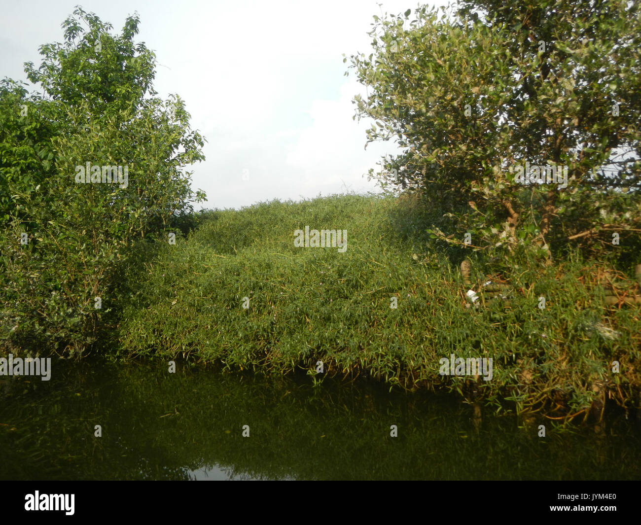 8092 Pamarawan Namayan Masile River Malolos City Districtfvf 19 Stock ...