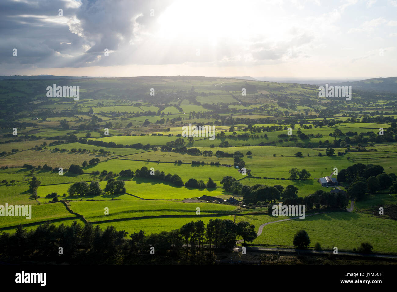 Glowing green fields in the Staffordshire countryside, England. A ...