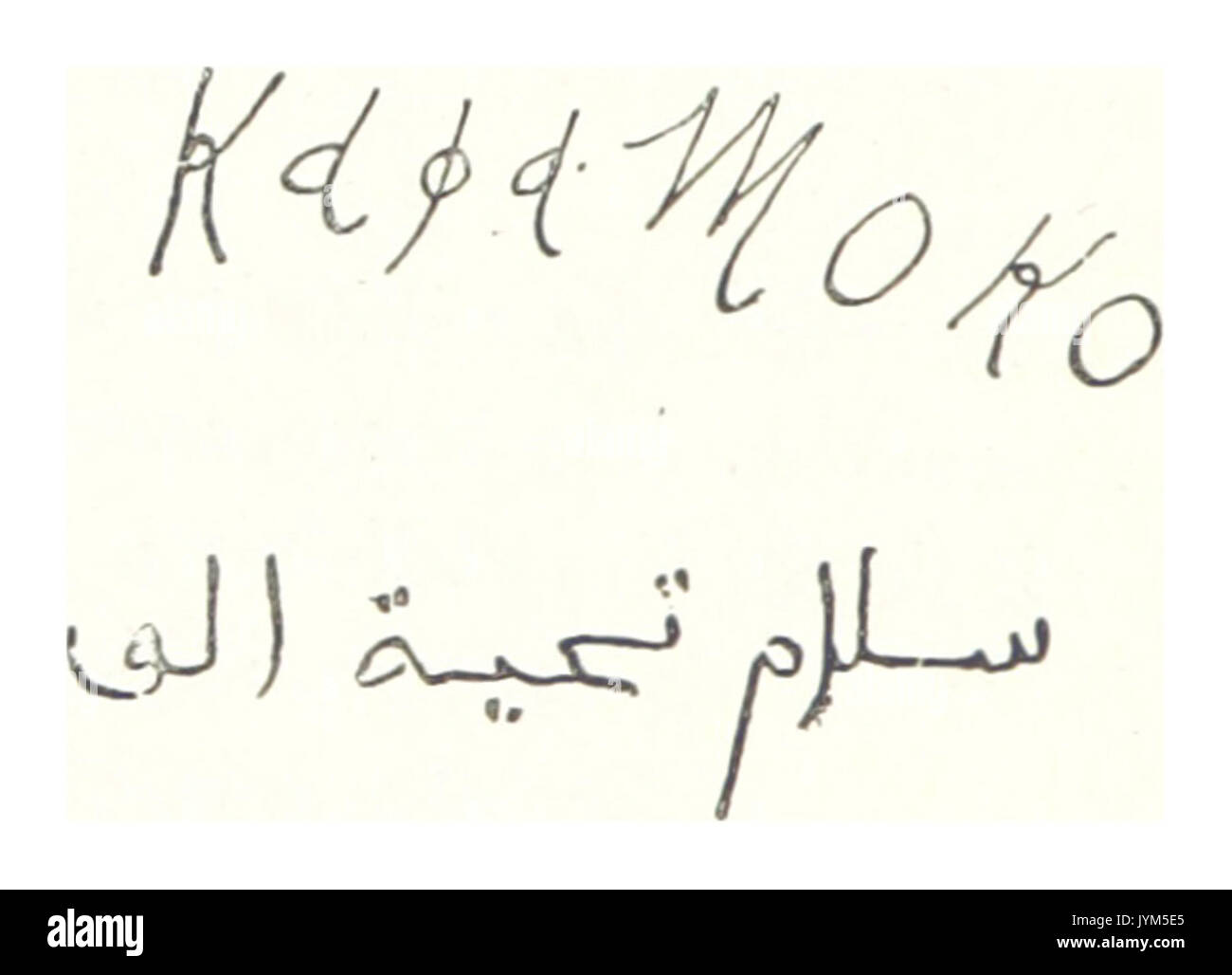 Detailed text layout Cut Out Stock Images & Pictures - Alamy