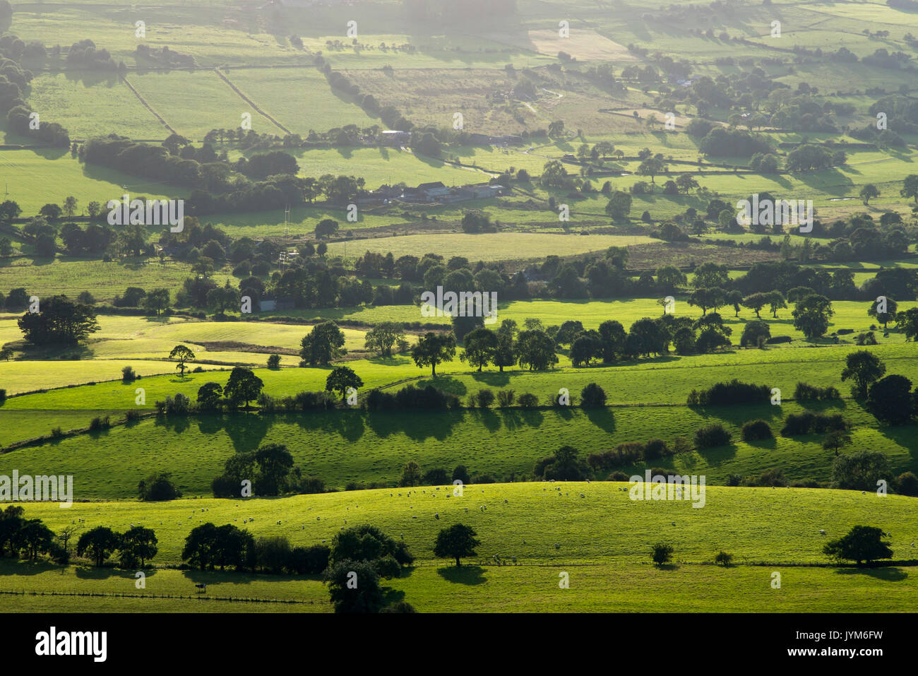 Glowing green fields in the Staffordshire countryside, England. A ...