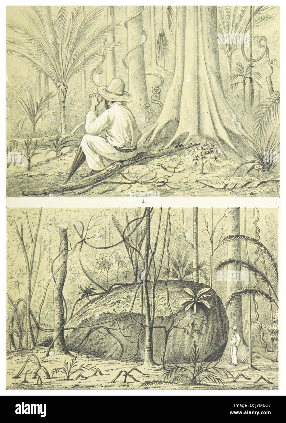 Granitfindling bei worsteling jakobs hi-res stock photography and images - Alamy