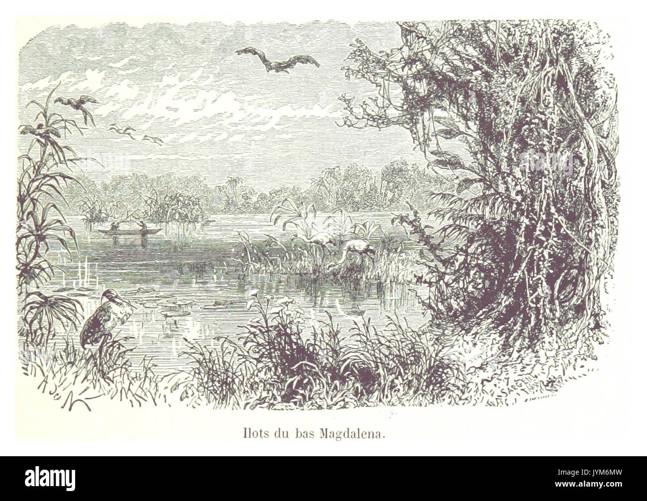 Force panama hi-res stock photography and images - Alamy