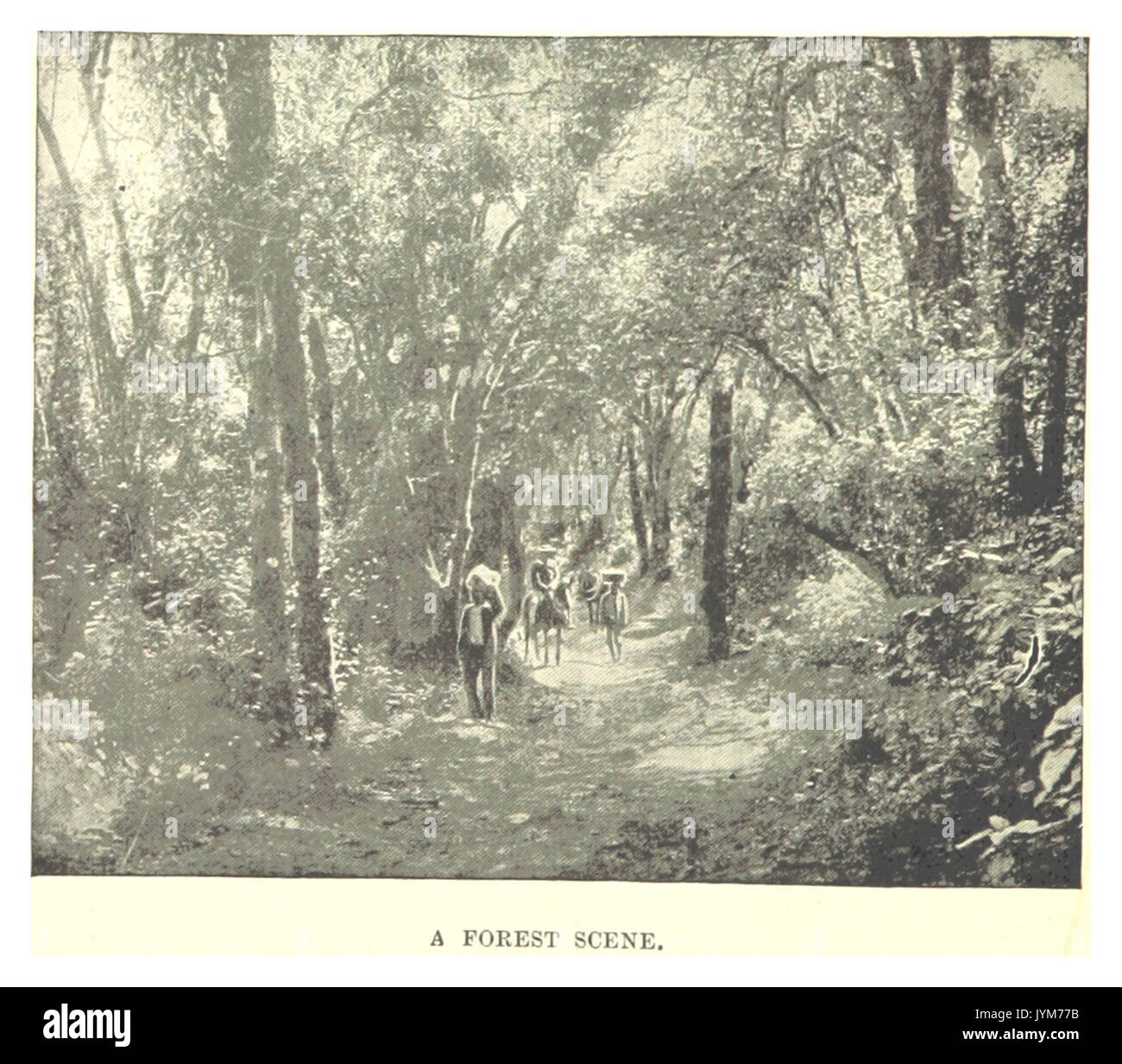 Forest painting 19th Cut Out Stock Images & Pictures - Alamy