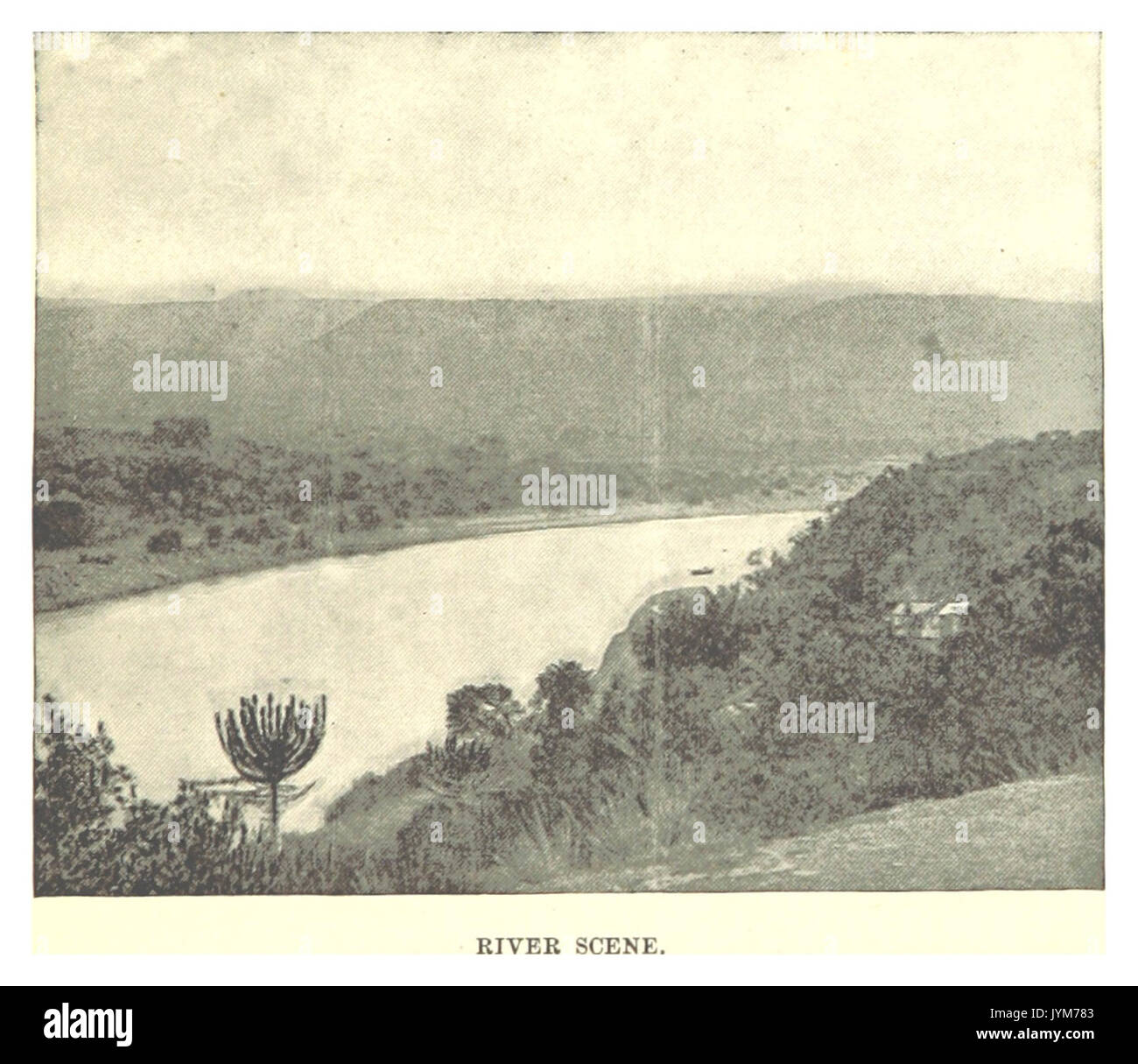 River past Cut Out Stock Images & Pictures - Alamy