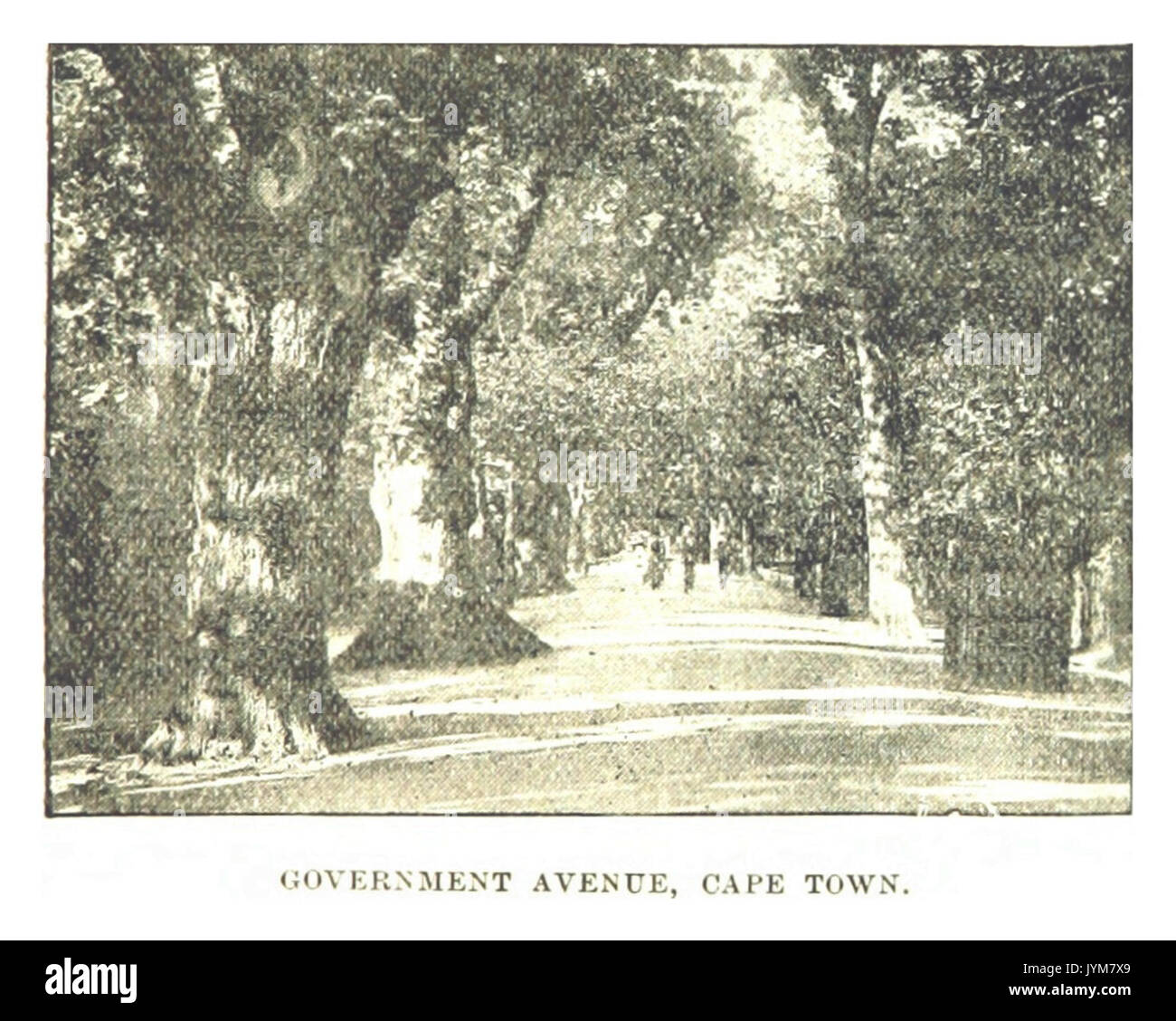 Historic government Cut Out Stock Images & Pictures - Alamy