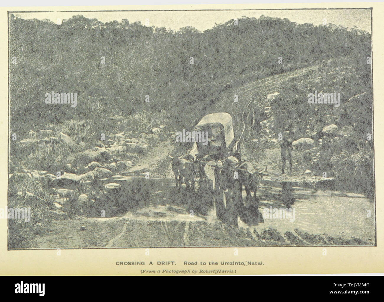 Umzinto hi-res stock photography and images - Alamy